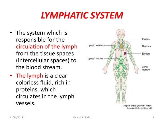 Lymphatic & Endocrine systems - Anatomy | PPTX | Thyroid Disorders ...
