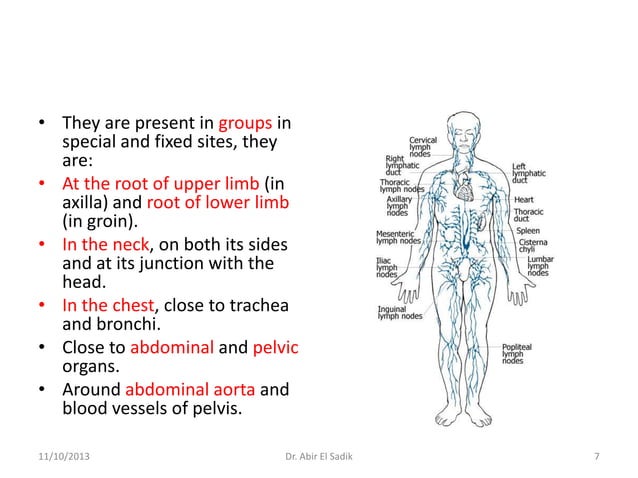 Lymphatic & Endocrine systems - Anatomy | PPTX | Thyroid Disorders ...
