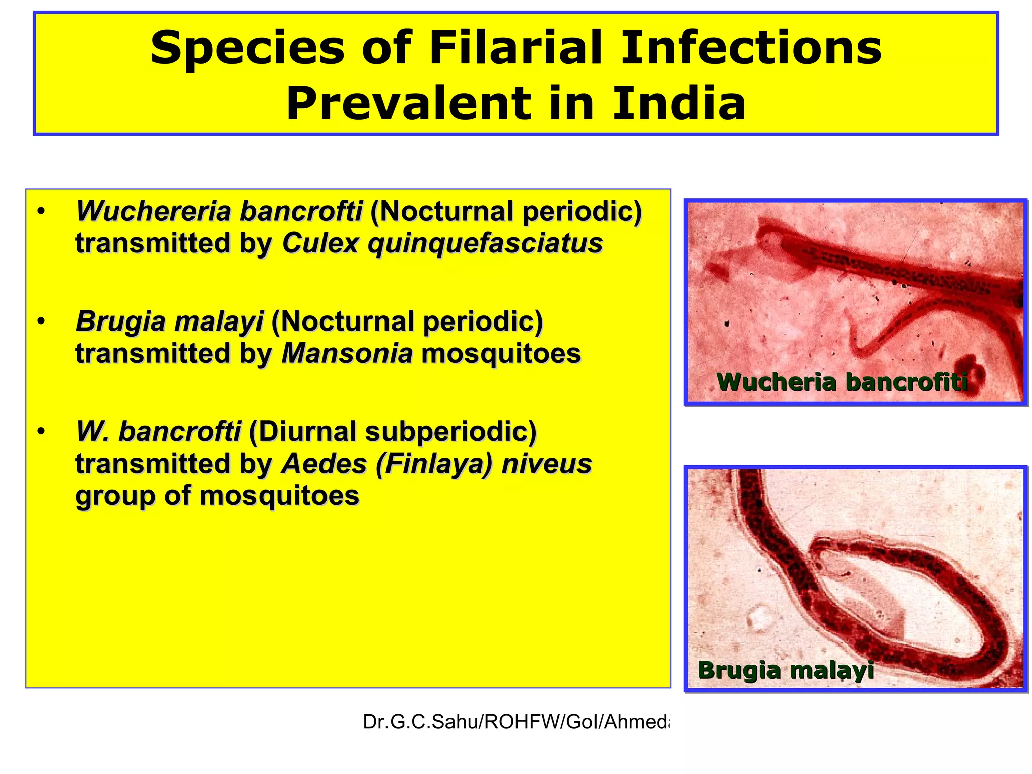 Lymphatic filariasis | PPT
