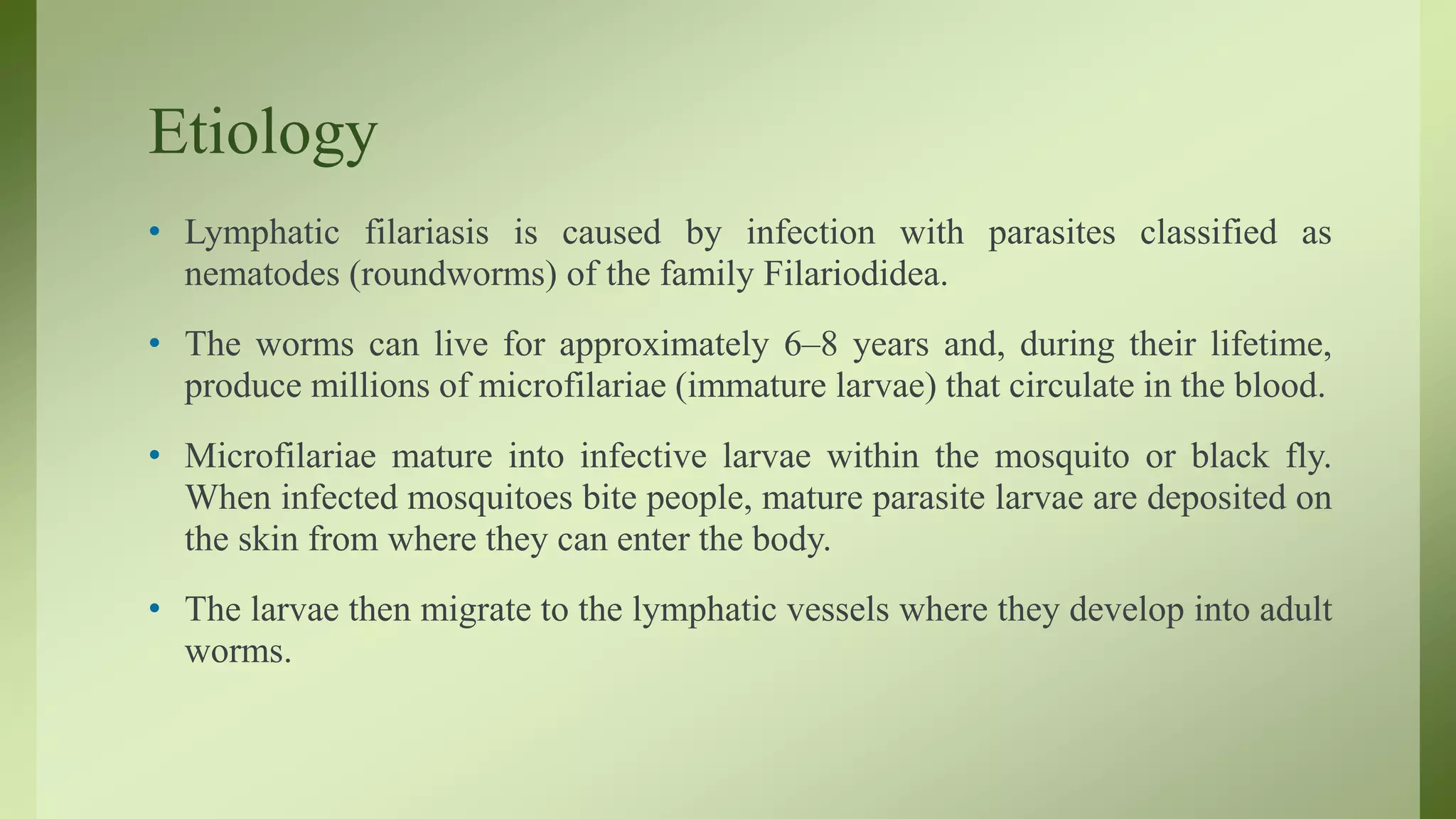 Lymphatic filariasis.pptx