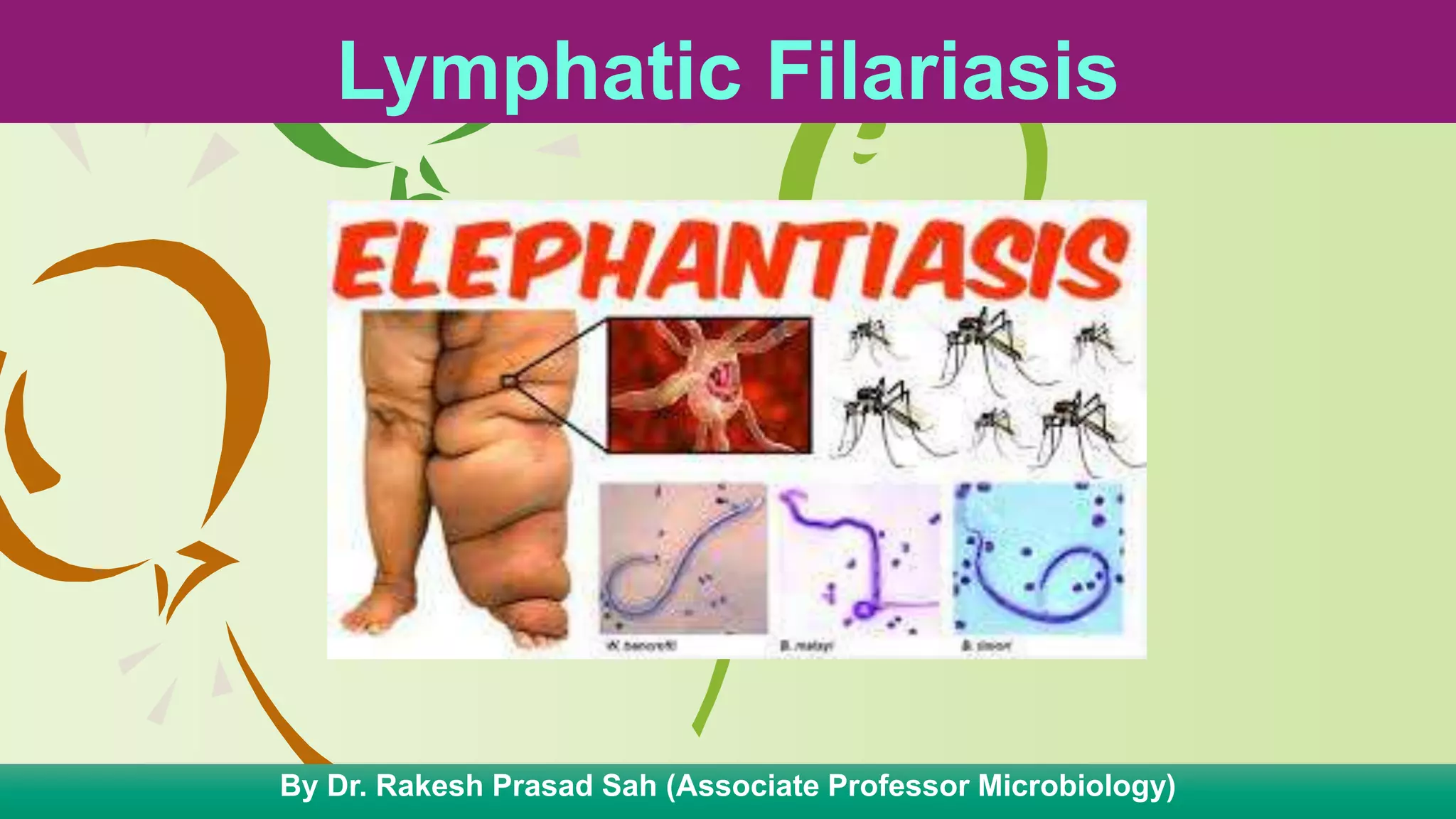 Lymphatic Filariasis | PPTX