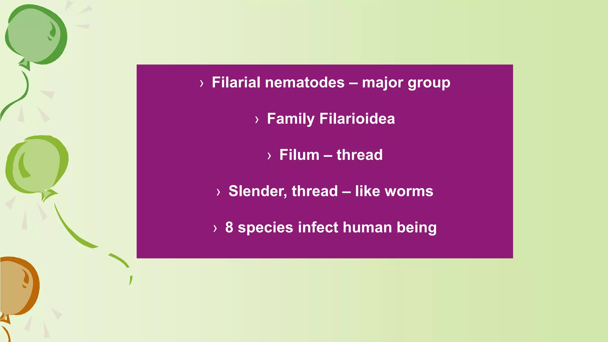 Lymphatic Filariasis | PPTX