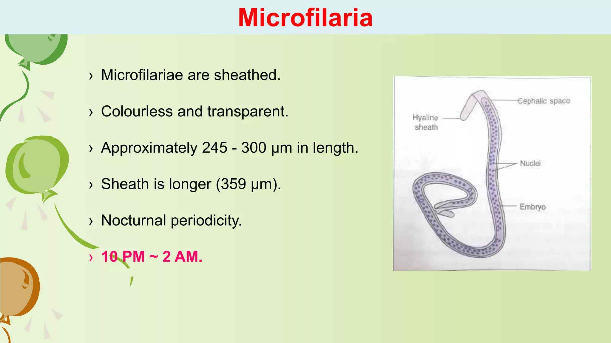 Lymphatic Filariasis | PPTX