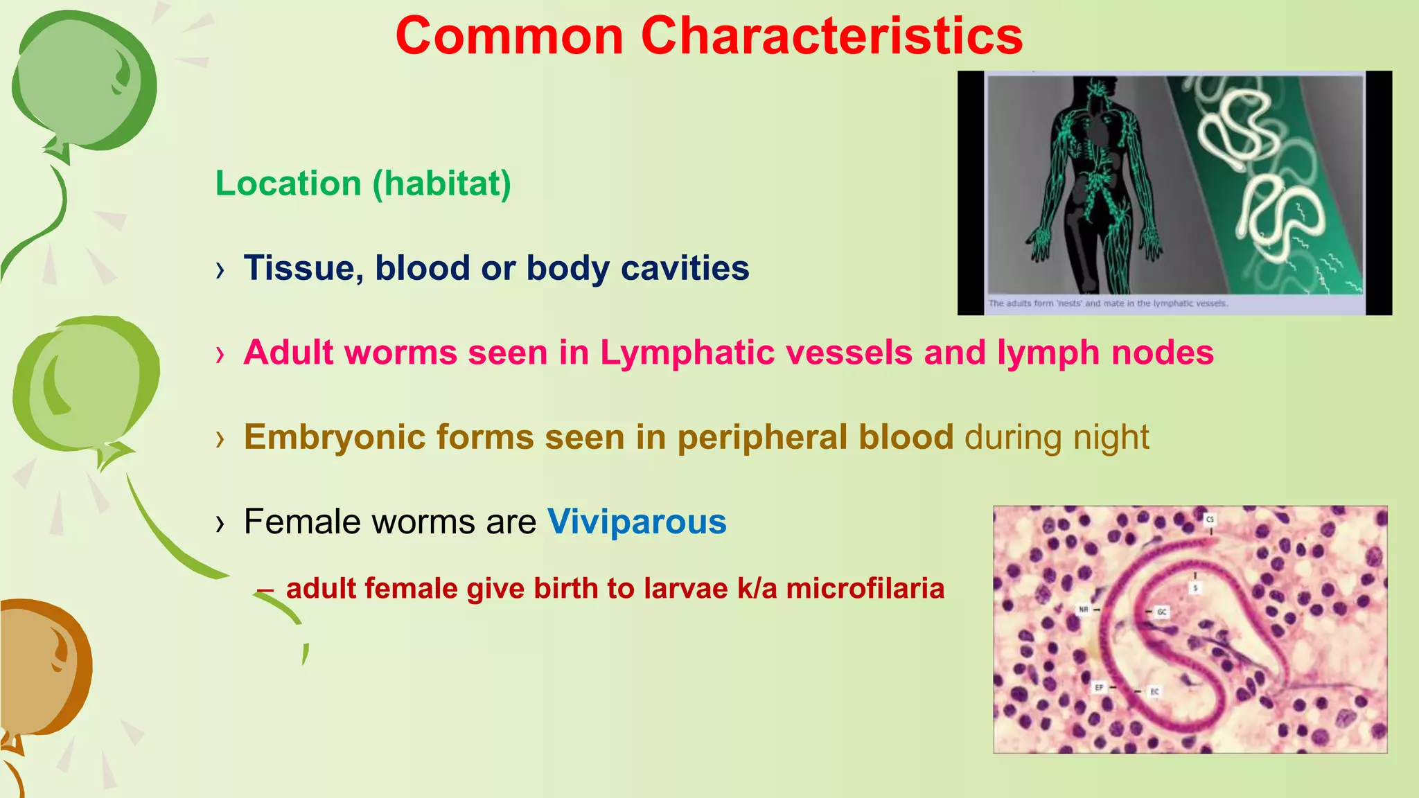 Lymphatic Filariasis | PPTX