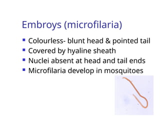 Lymphatic filariasis clinical disease , labdiagnosis and treatment | PPTX