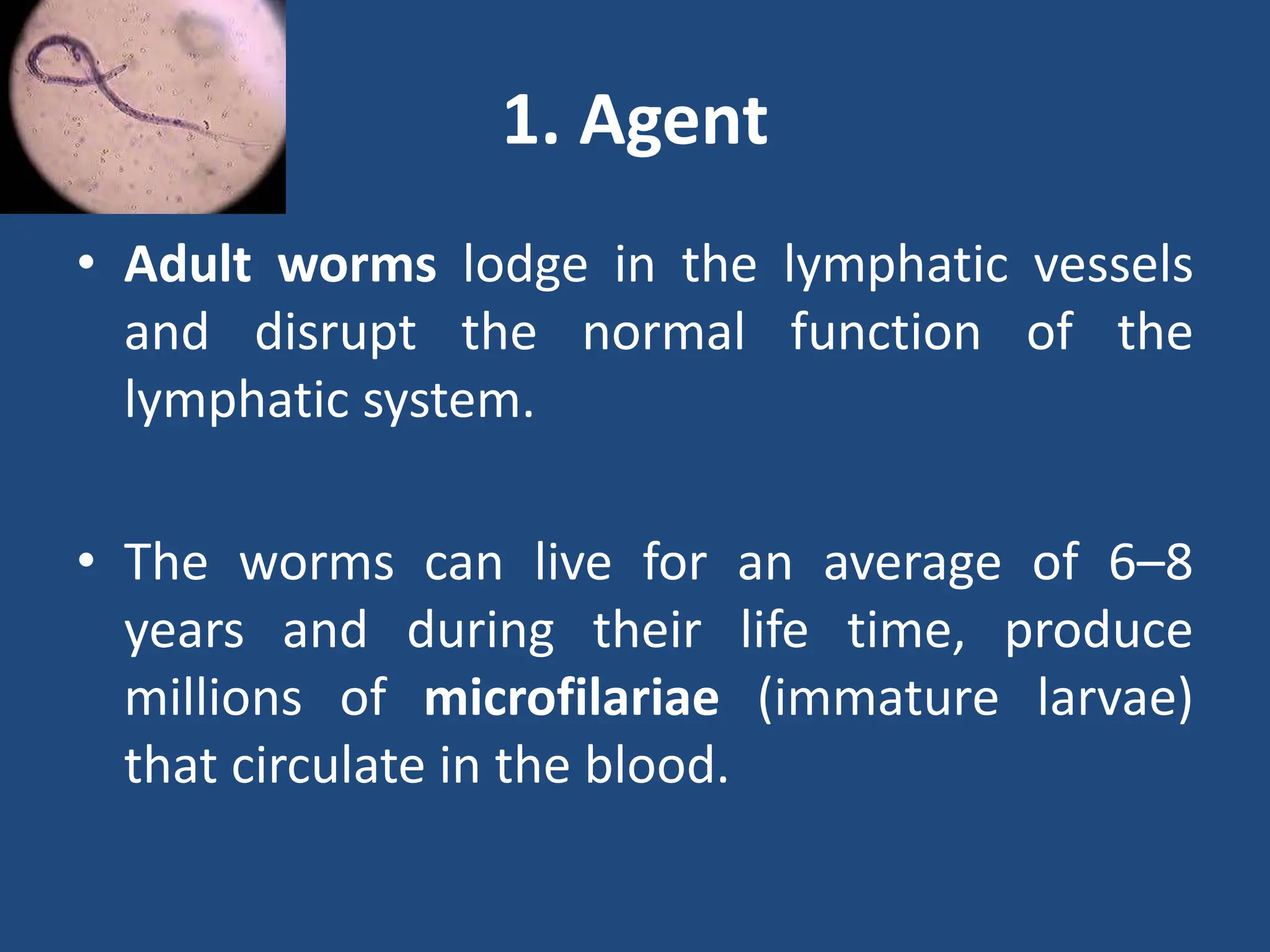 LYMPHATIC FILARIASIS Community medicine.pptx