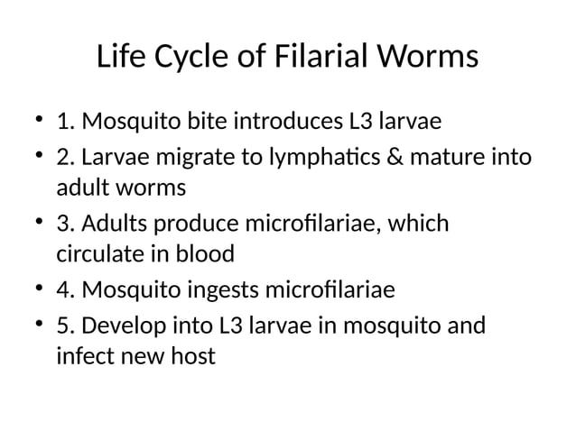 Lymphatic_Filariasis_Presentation_Flowchart (1).pptx
