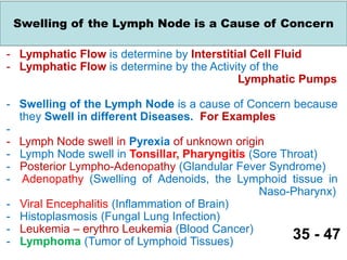Lymphatic and Immune System for HSSC FBISE - LBISE | PPT