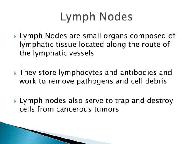 Lymphatic & immune system terms | PPT