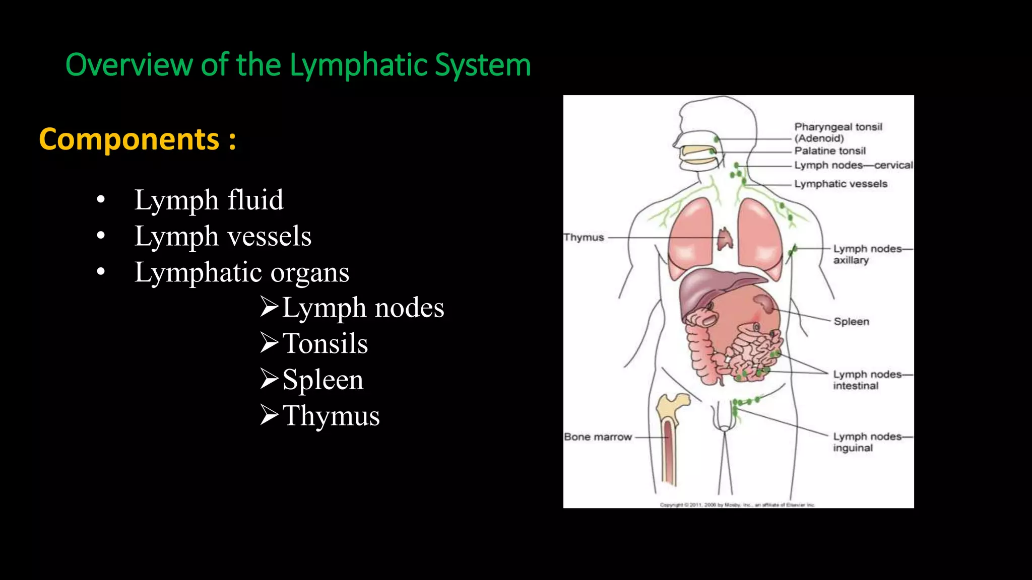 Lymphatic pathophysiology | PPTX