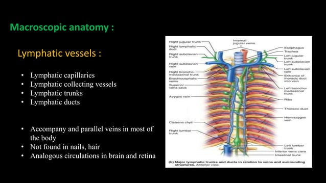 Lymphatic pathophysiology | PPT