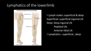 Lymphatic pathophysiology | PPTX