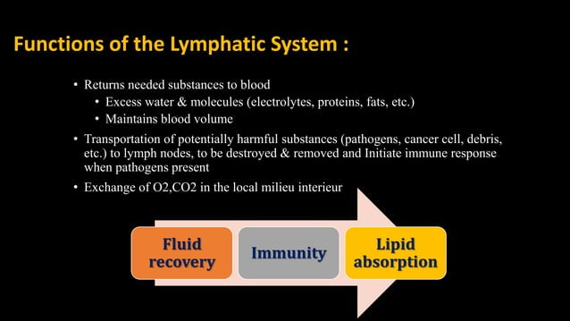 Lymphatic pathophysiology | PPTX | Biological Sciences | Science