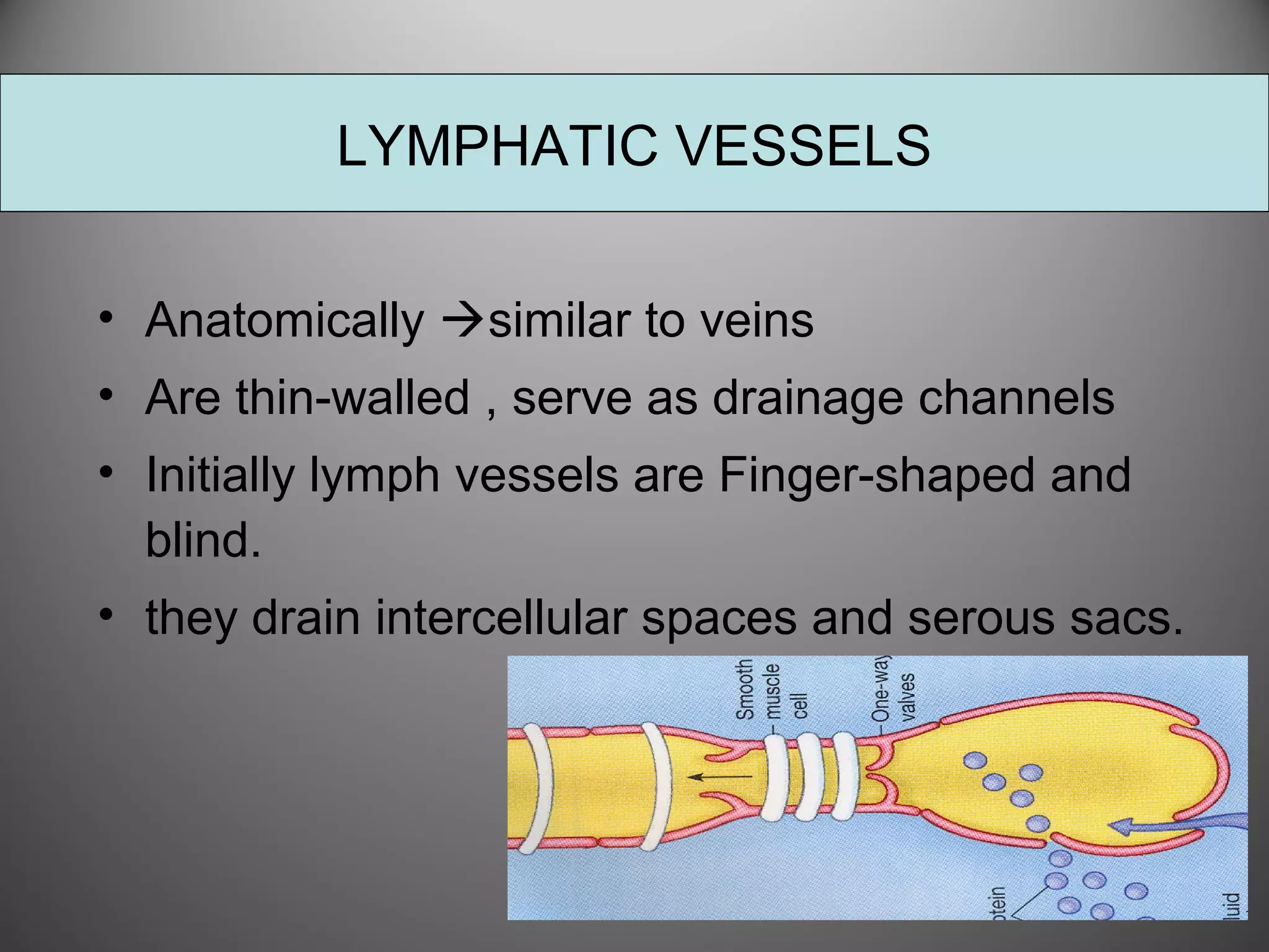 Lymphatics of head and neck | PPT