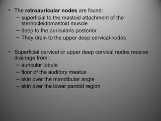 Lymphatics of head and neck | PPT