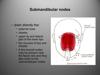 Lymphatics of head and neck | PPT