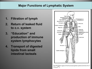 Lymphatics of head and neck | PPT