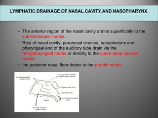 Lymphatics of head and neck | PPT