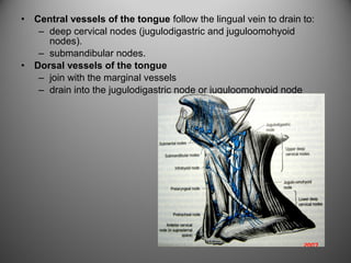 Lymphatics of head and neck | PPT
