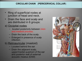 Lymphatics of head and neck | PPT