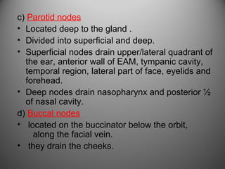 Lymphatics of head and neck | PPT