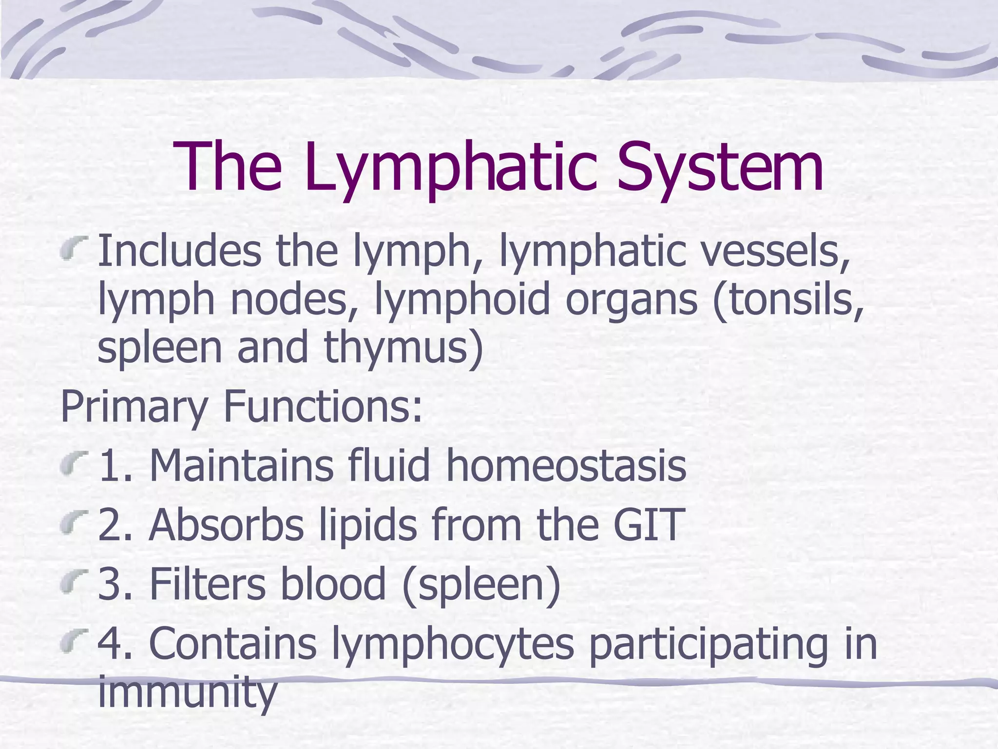 Lymphatics And Respiratory System | PPT