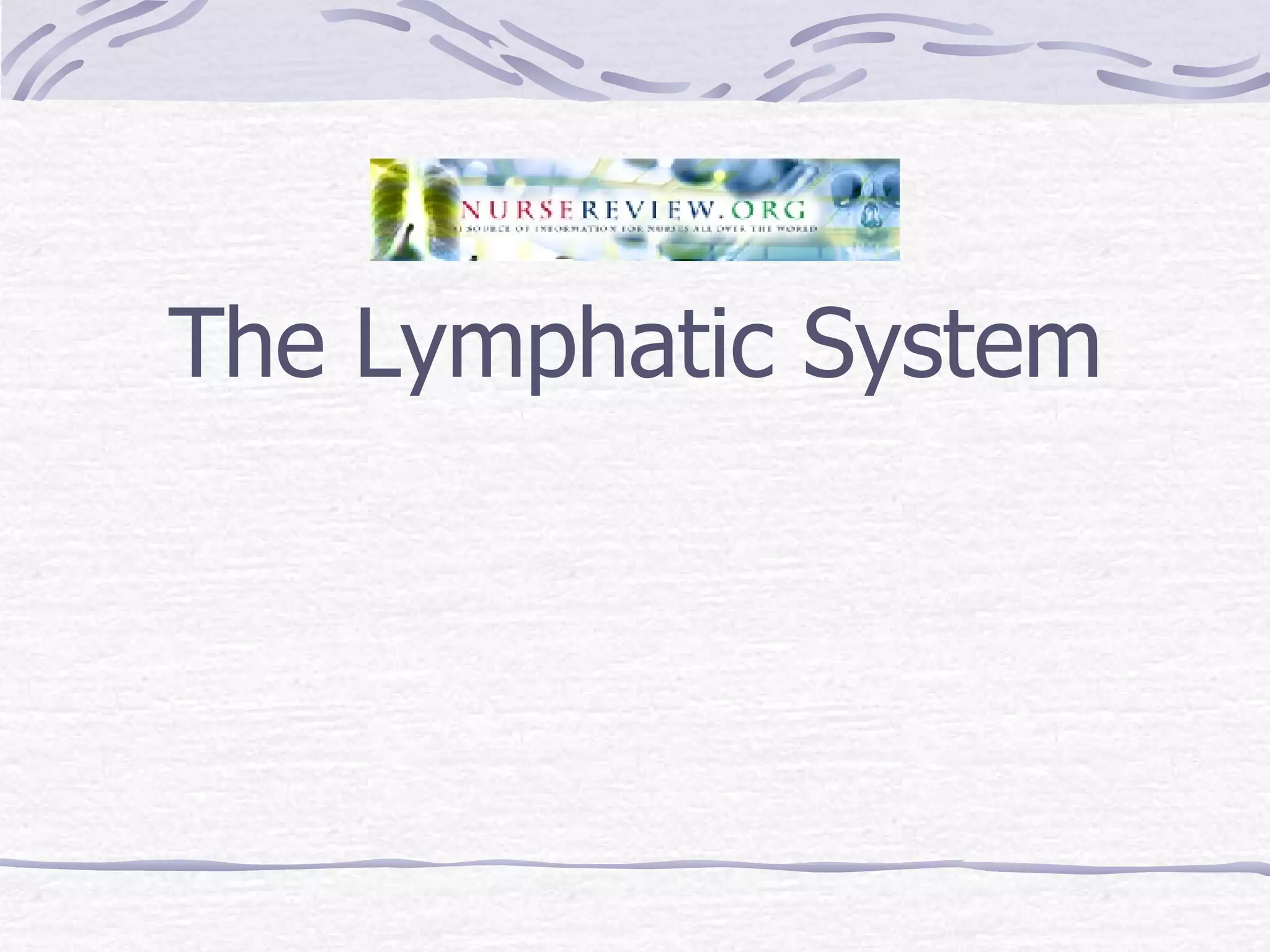 Lymphatics And Respiratory System | PPT
