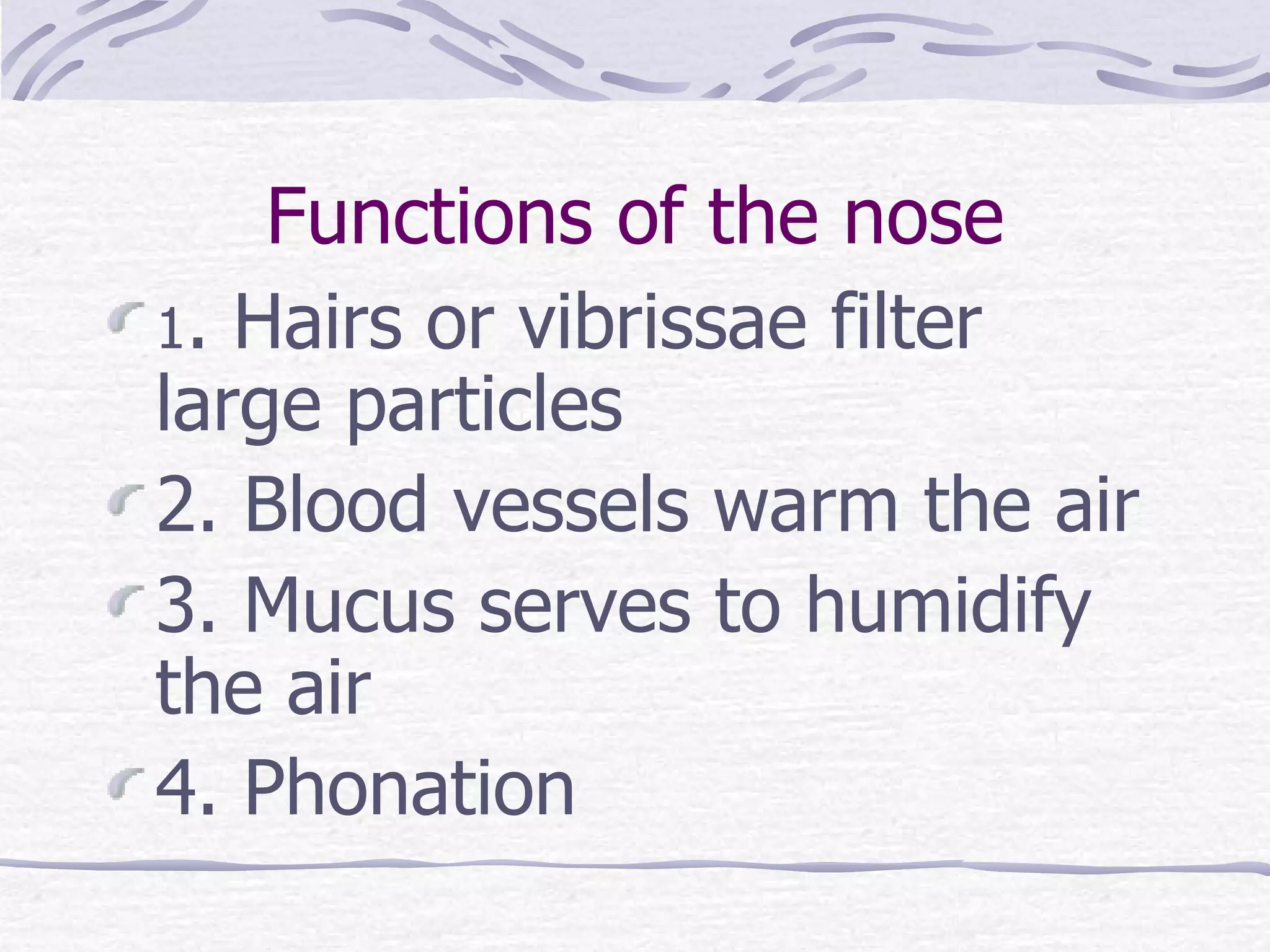 Lymphatics And Respiratory System | PPT