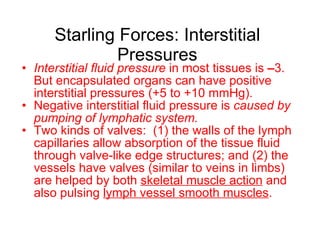 Lymphatics (Abbrev) Student Notes | PPT