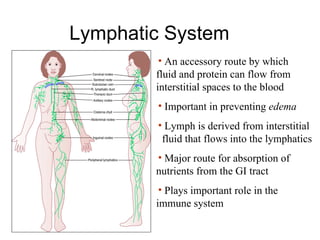 Lymphatics (Abbrev) Student Notes | PPT