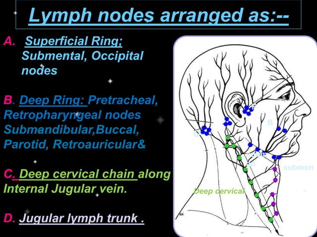 Lymphatics of head and neckppt | PPT