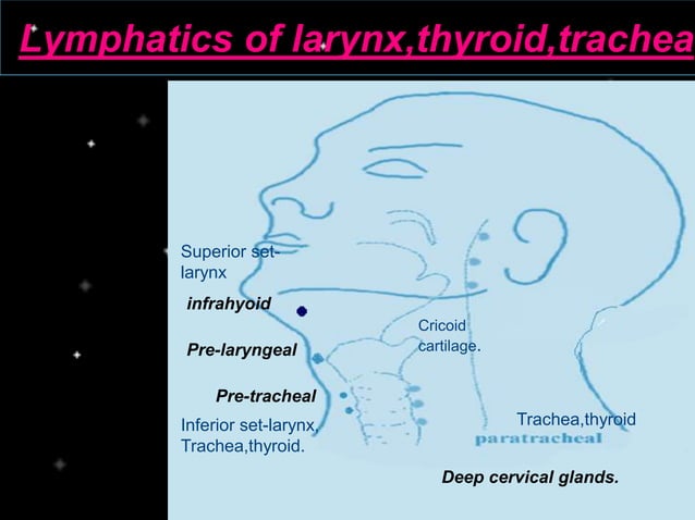 Lymphatics of head and neckppt | PPT