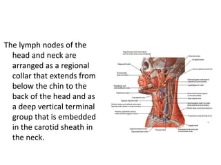 Lymphatics of the head and neck | PPTX