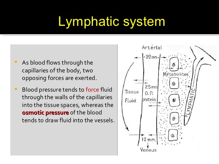 Lymphatics of the head & neck