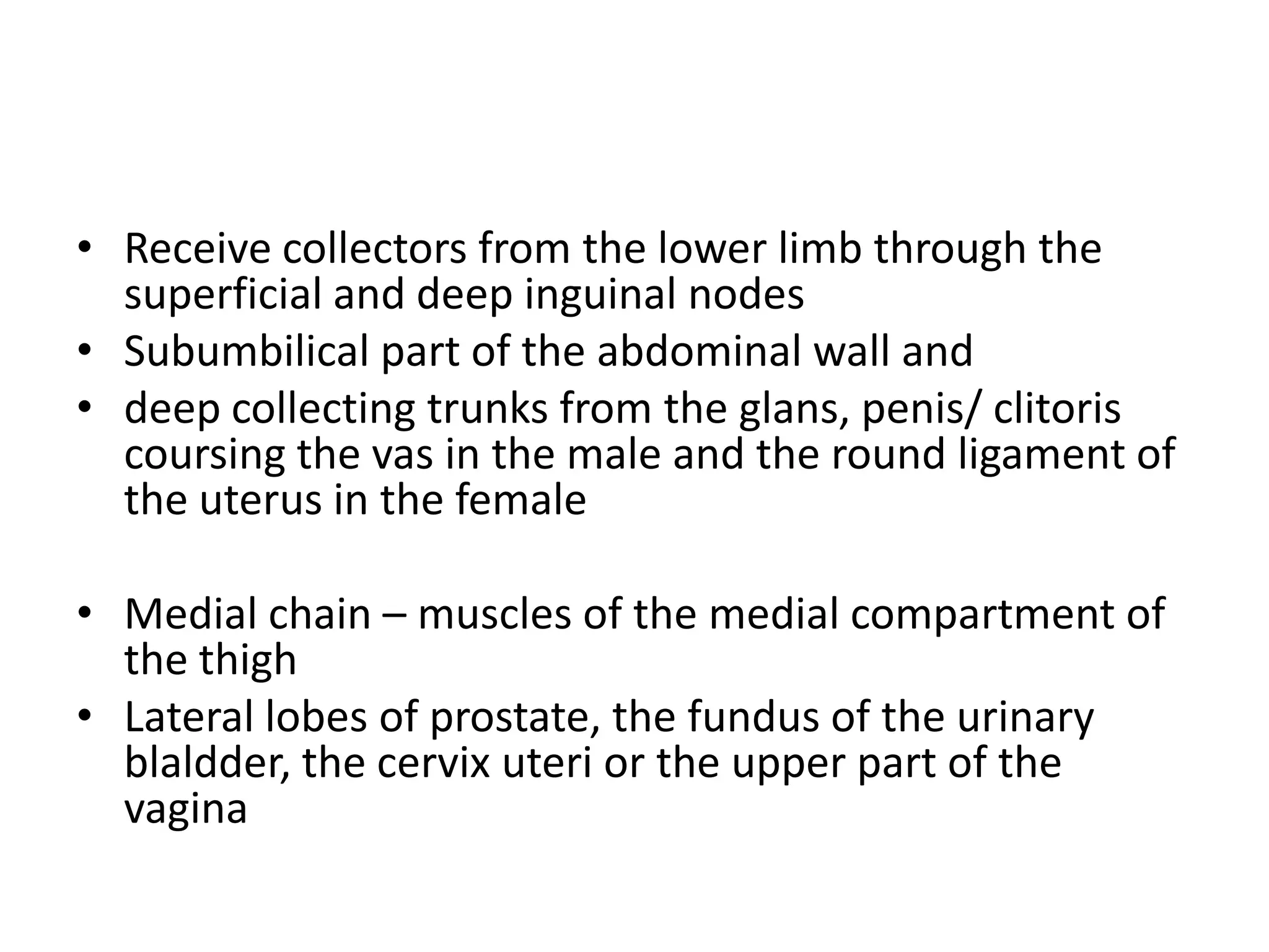 Lymphatics of the pelvis | PPTX