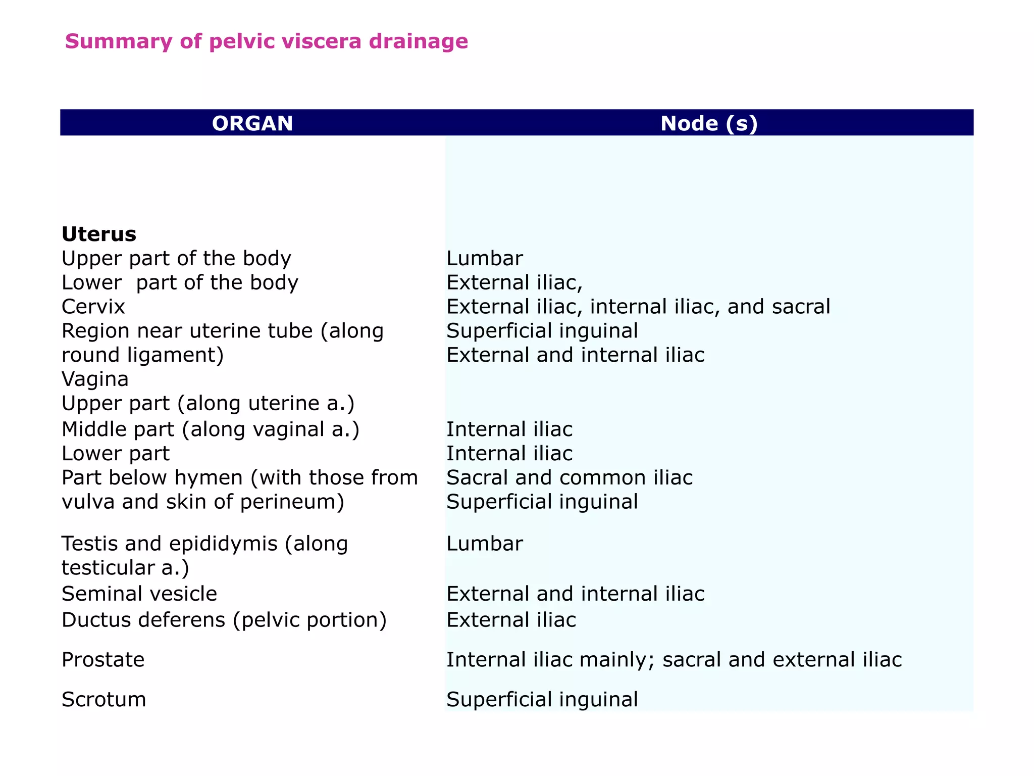 Lymphatics of the pelvis | PPTX