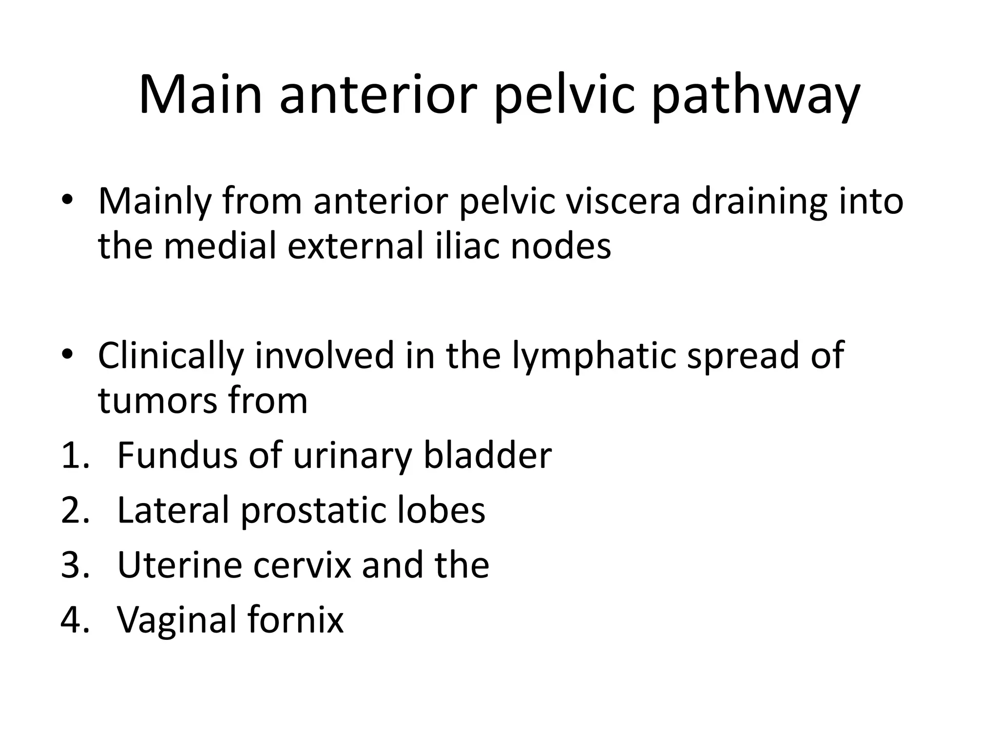 Lymphatics of the pelvis | PPTX