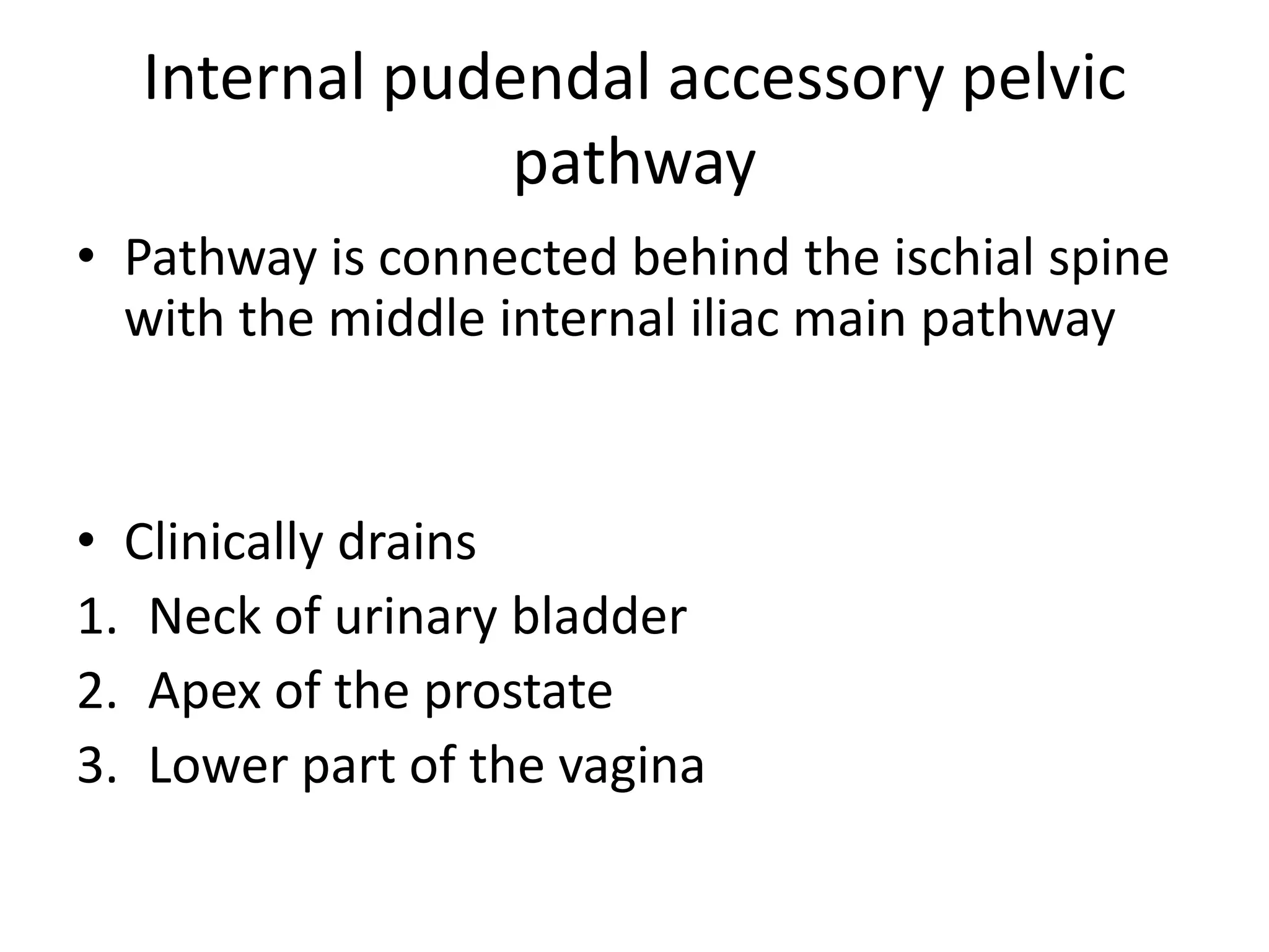 Lymphatics of the pelvis | PPTX