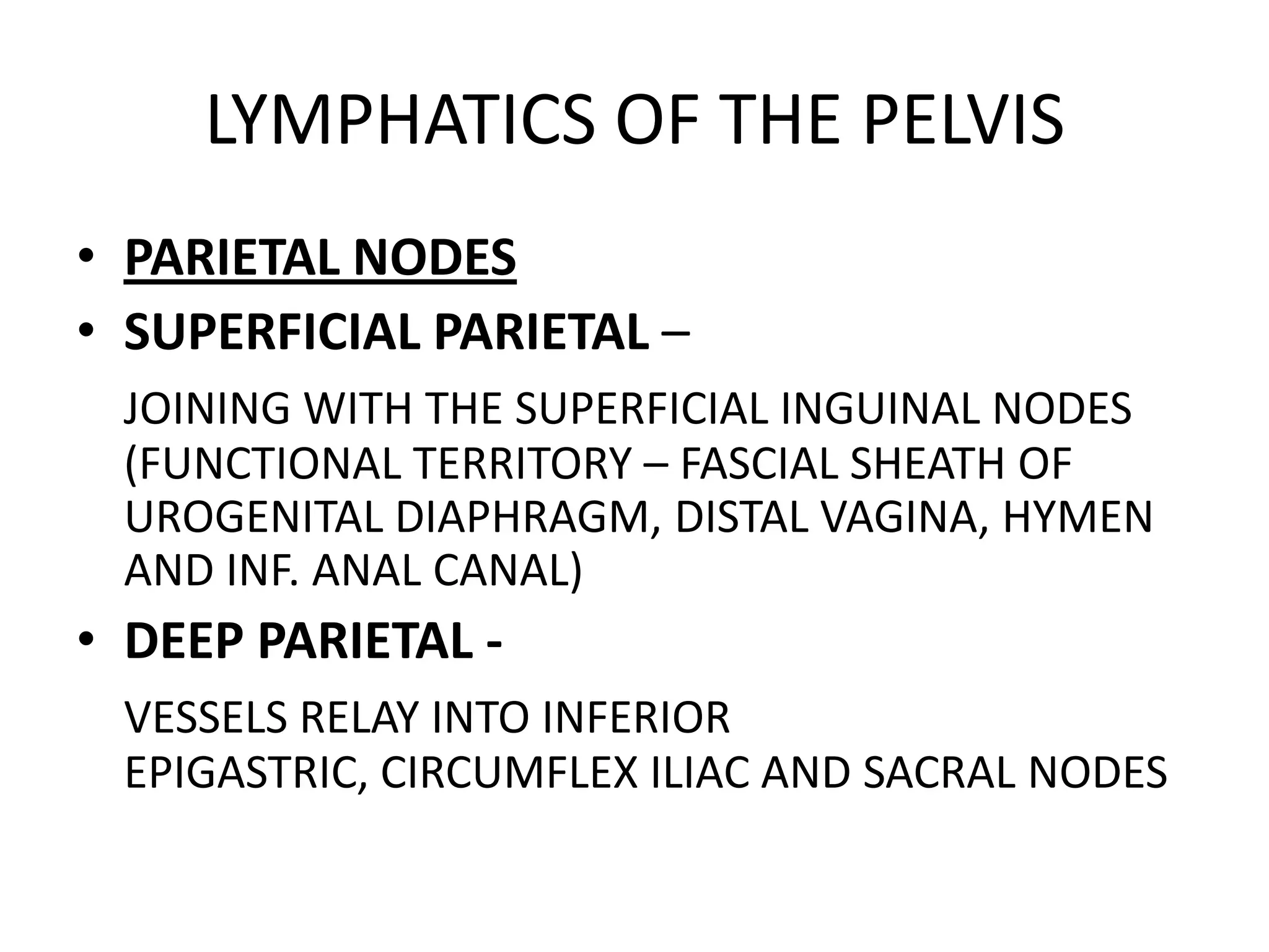 Lymphatics of the pelvis | PPTX