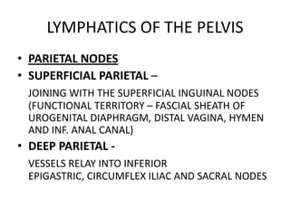 Lymphatics of the pelvis | PPTX