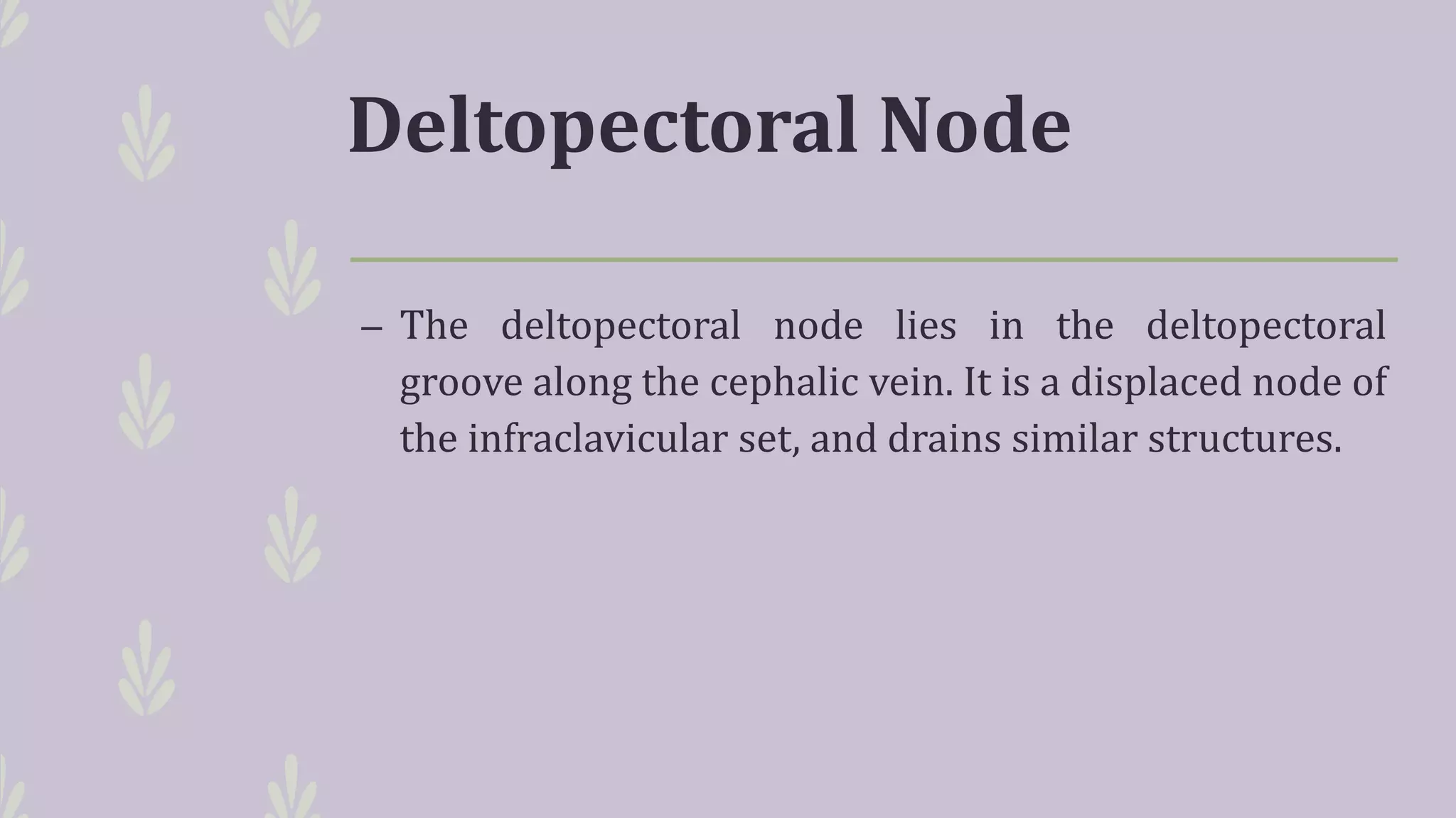 Lymphatic system of upper and lower limbs in human body | PPTX