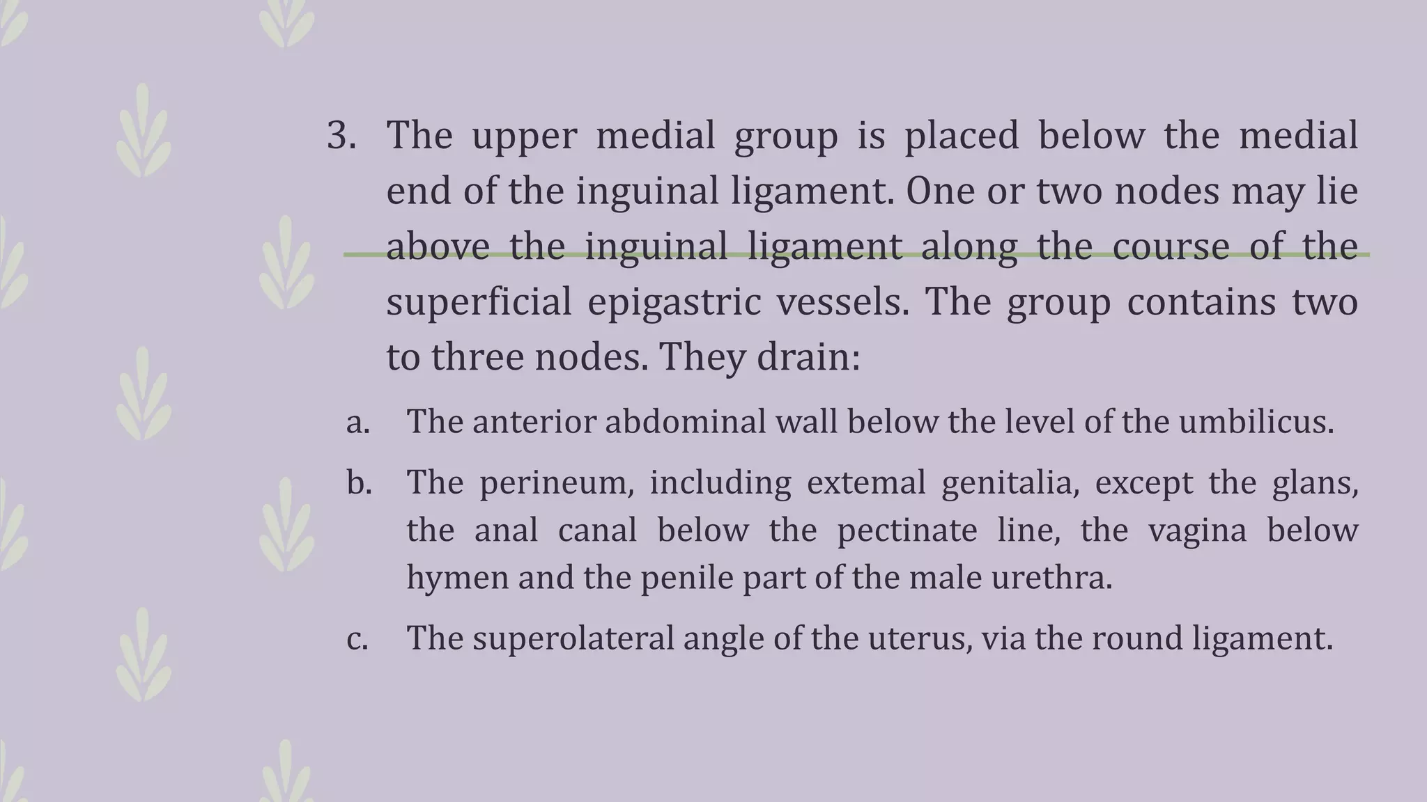 Lymphatic system of upper and lower limbs in human body | PPTX