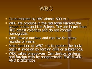 Lymphatic System | PPT