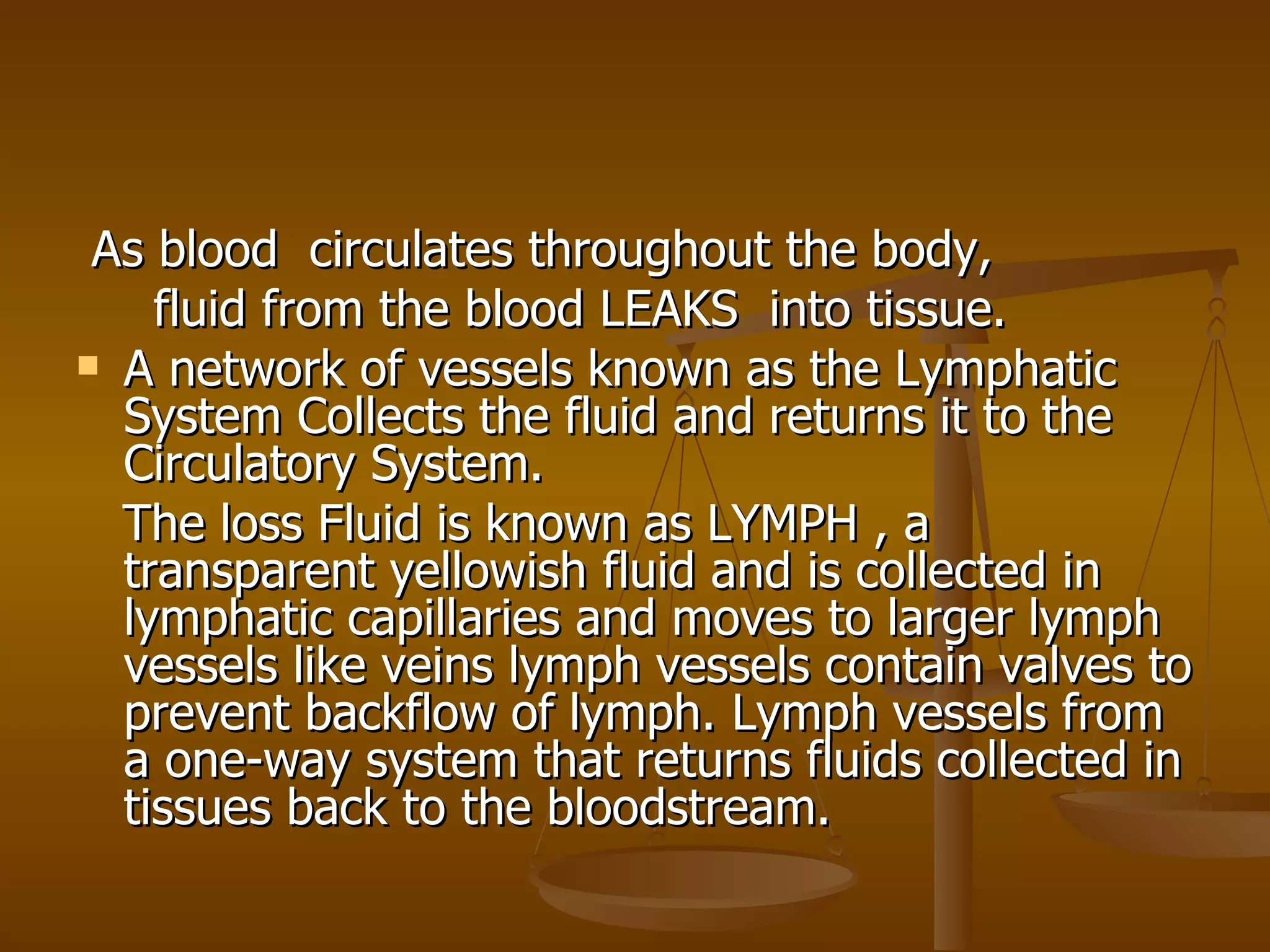 Lymphatic System | PPT