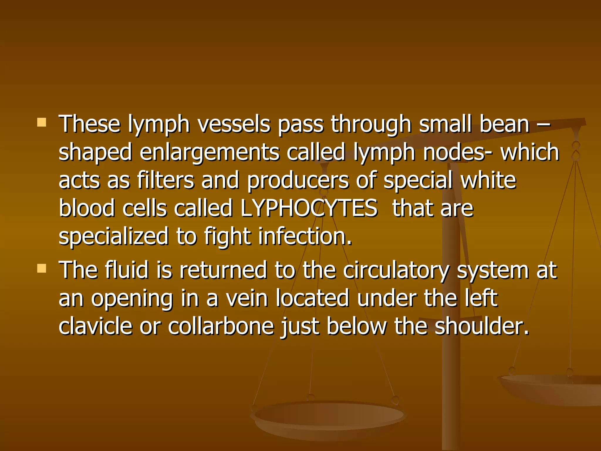 Lymphatic System | PPT