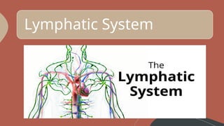 Lymphatic system General Anatomy and Clinicals.pptx