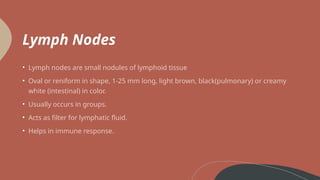 Lymphatic system General Anatomy and Clinicals.pptx