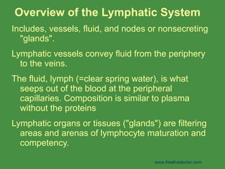 Lymphaticsystem 100311040135-phpapp01 | PPT | Biological Sciences | Science