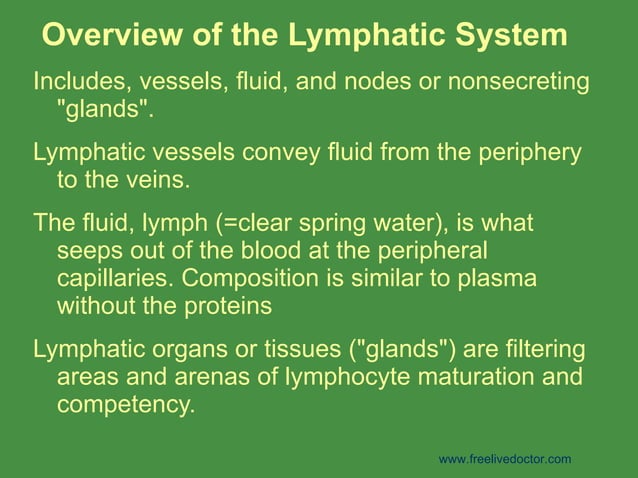 Lymphaticsystem 100311040135-phpapp01 | PPT | Biological Sciences | Science