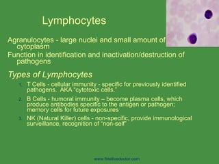 Lymphaticsystem 100311040135-phpapp01 | PPT